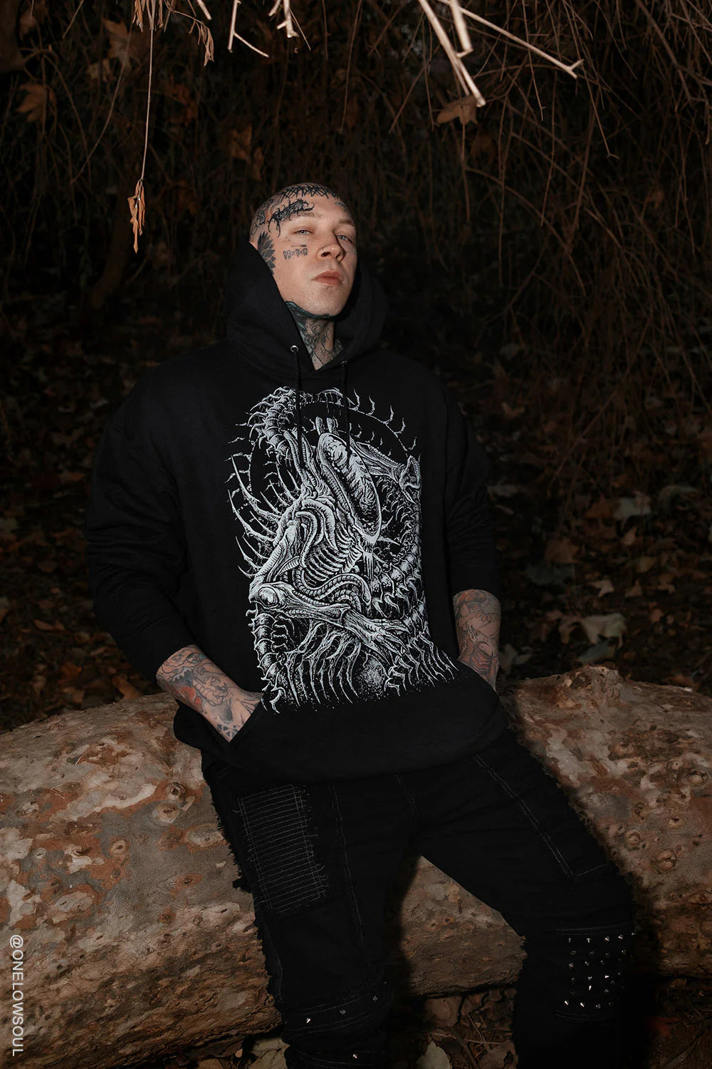 Alien Abduction Hoodie – The Horror Family LLC